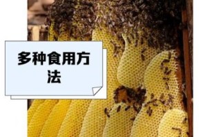 蜂巢蜜的作用与功效禁忌_哪些人不能吃