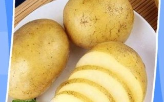 韩国土豆是谁_韩国土豆真实身份揭秘