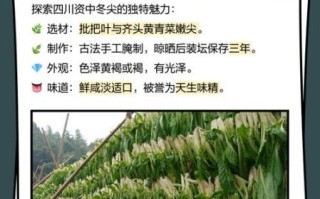 南充冬菜怎么腌制_南充冬菜腌制方法详解