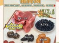 熟地炖汤做法大全_熟地炖汤有什么功效