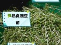 豌豆芽的功效与作用_豌豆芽怎么吃最营养
