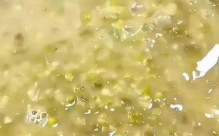 绿豆粥怎么熬好喝_绿豆粥要煮多久才软烂