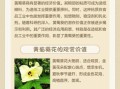 黄蜀葵花泡酒的功效与作用_黄蜀葵花泡酒怎么泡