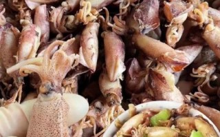 小海兔怎么清洗_小海兔怎么炒才嫩