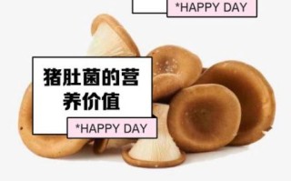 猪肚菌怎么做好吃_猪肚菌的做法大全