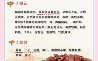 酸枣仁禁忌人群有哪些_孕妇能吃酸枣仁吗
