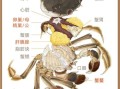 螃蟹有几种做法_螃蟹怎么吃最好吃