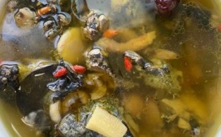 乌骨鸡汤怎么炖好喝_乌骨鸡汤的家常做法