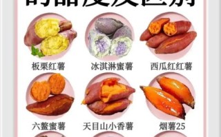 红薯的营养价值_红薯吃了会发胖吗