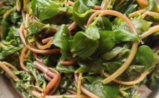 马齿苋怎么吃_马齿苋的吃法大全