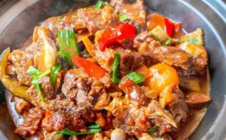 鹿肉怎么做好吃_鹿肉的家常做法