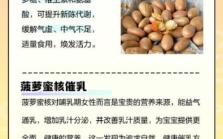 菠萝蜜核的营养价值_怎么吃最健康 菠萝蜜核的营养价值_怎么吃最健康