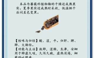 酸梅酒的功效与作用_酸梅酒哪些人不能喝