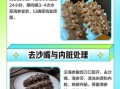 海参怎么洗干净_海参内脏清理步骤