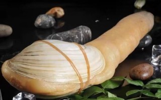 象拔蚌价格多少钱一斤_象拔蚌为什么这么贵