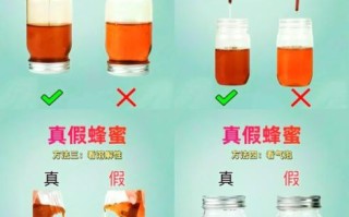 蜂蜜真假辨别方法图_如何鉴别真假蜂蜜