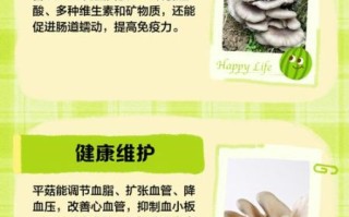 平菇菌种在哪里买到_如何挑选优质菌种