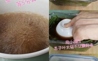 苏子叶咸菜怎么腌制_苏子叶咸菜的做法窍门