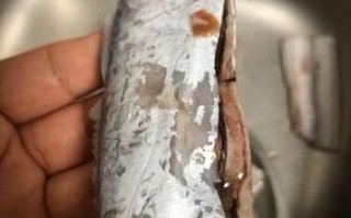 带鱼白色的用刮掉吗_带鱼表面银膜要不要洗