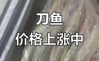 黄河刀鱼多少钱一斤_黄河刀鱼价格为什么波动大
