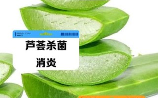 芦荟可以生吃吗_生吃芦荟的正确方法