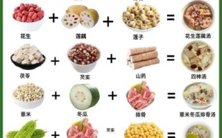 炖汤菜谱大全_炖汤做法窍门