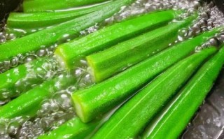 秋葵焯水多长时间能熟_秋葵焯水几分钟口感最佳