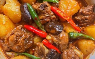 黄焖鸡怎么做好吃_黄焖鸡的家常做法步骤