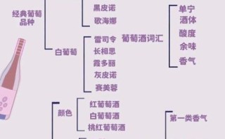 葡萄酒的家常做法窍门_如何在家自酿葡萄酒