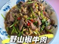 野山椒牛肉超好吃是谁写的_作者身份揭秘