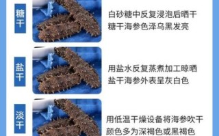 盐渍海参和淡干海参哪个好_盐渍海参和淡干海参的区别