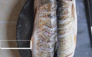 家常锡纸烤鱼怎么做_锡纸烤鱼用烤箱还是空气炸锅