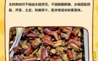 玉林焖狗肉正宗做法_玉林焖狗肉怎么做才香