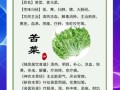 苦菜怎么吃_苦菜怎么做不苦