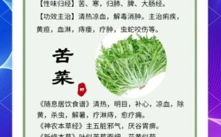 苦菜怎么吃_苦菜怎么做不苦