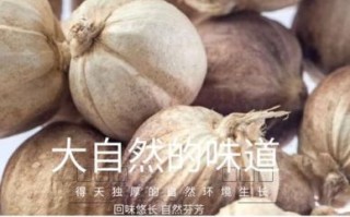 白蔻香料图片_白蔻香料长什么样