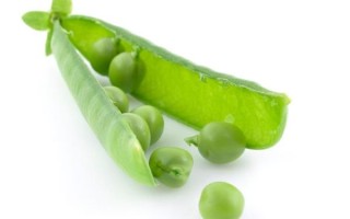 豌豆图片高清_如何拍摄豌豆细节特写