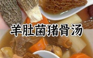 羊肚汤怎么做_羊肚汤最简单的做法大全