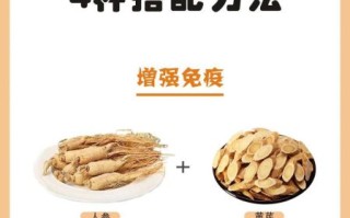 人参的功效与作用是什么_怎么吃效果最好