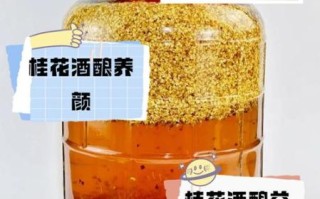 桂花酒酿的功效与作用_女人喝桂花酒酿有哪些好处