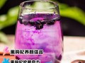 黑枸杞有什么功效_黑枸杞能天天喝吗