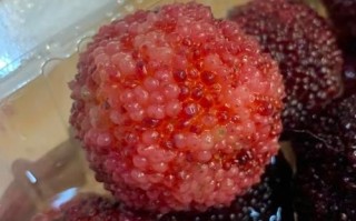 杨梅不用盐水泡有事吗_杨梅不泡盐水能吃吗