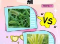 狼尾草和狗尾草的区别_如何快速区分狼尾草与狗尾草