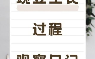 豌豆苗怎么种_豌豆苗种植方法步骤