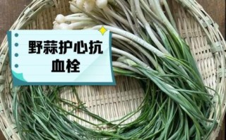 薤白的功效与作用_薤白主治什么病