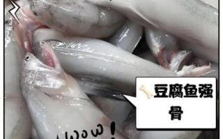 鱼豆腐的功效与作用_适合减肥吃吗