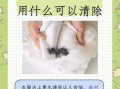 墨鱼汁怎么洗_墨鱼汁弄到衣服怎么洗掉