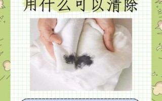 墨鱼汁怎么洗_墨鱼汁弄到衣服怎么洗掉