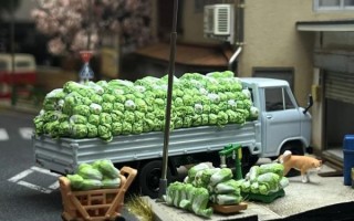 青菜拼车是什么车_青菜拼车安全吗