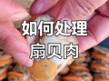 扇贝哪些部位不能吃_扇贝内脏怎么去除